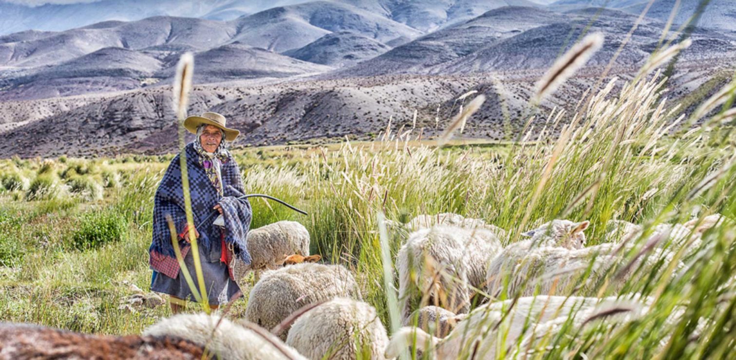 Quechua Culture: A Legacy to be Experienced - Atacama & Salta